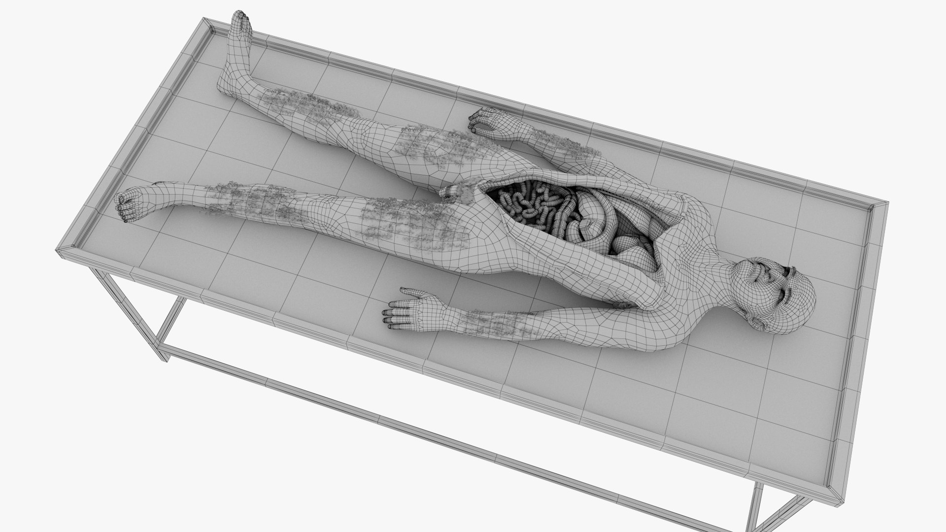 Autopsy Model - TurboSquid 2187541