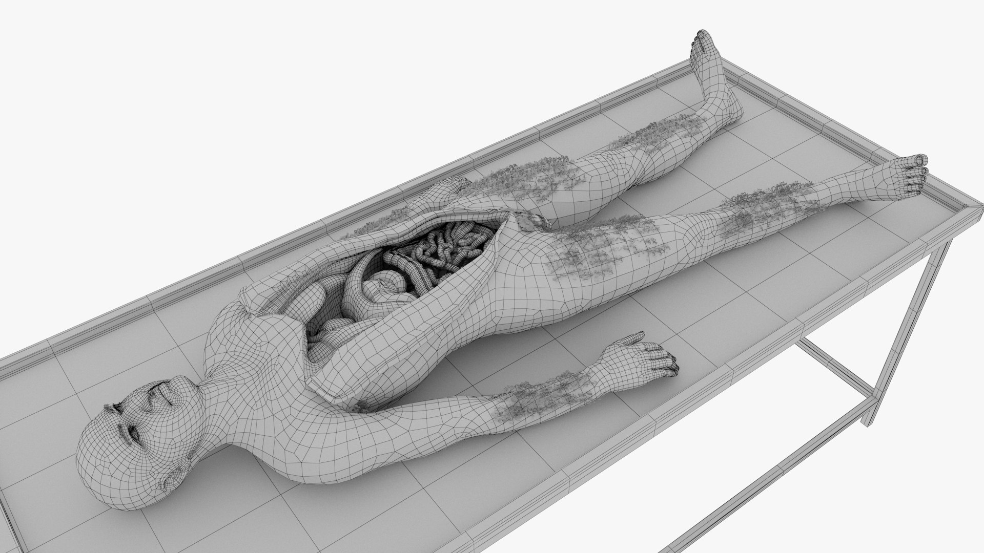Autopsy Model - TurboSquid 2187541