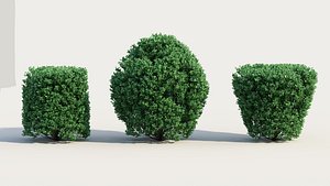 Topiary 3D Models for Download | TurboSquid