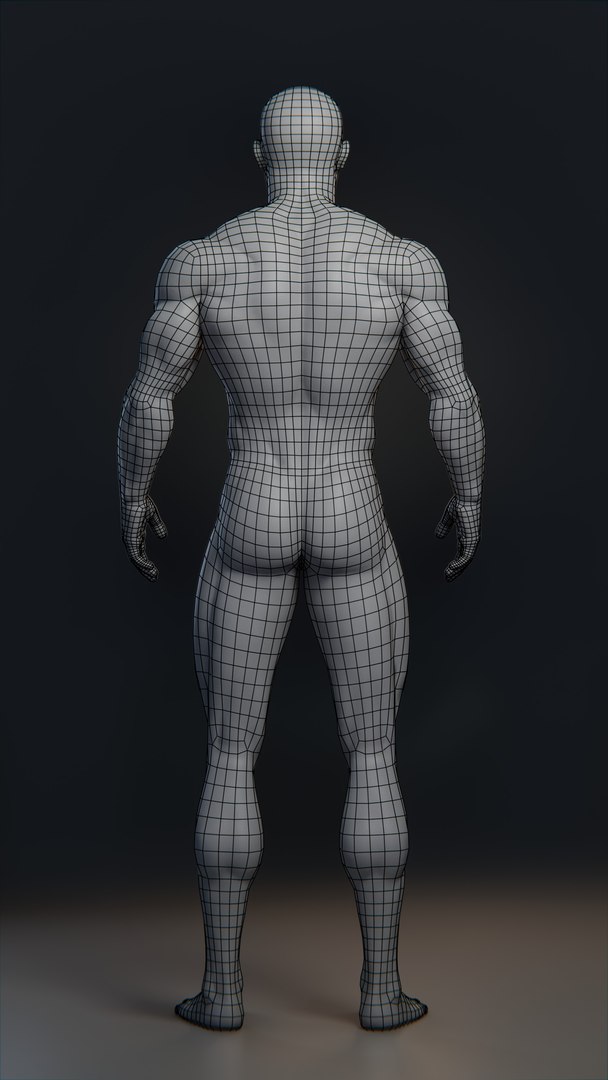 Male Basemesh Rigged Textured 3D Model - TurboSquid 2308510