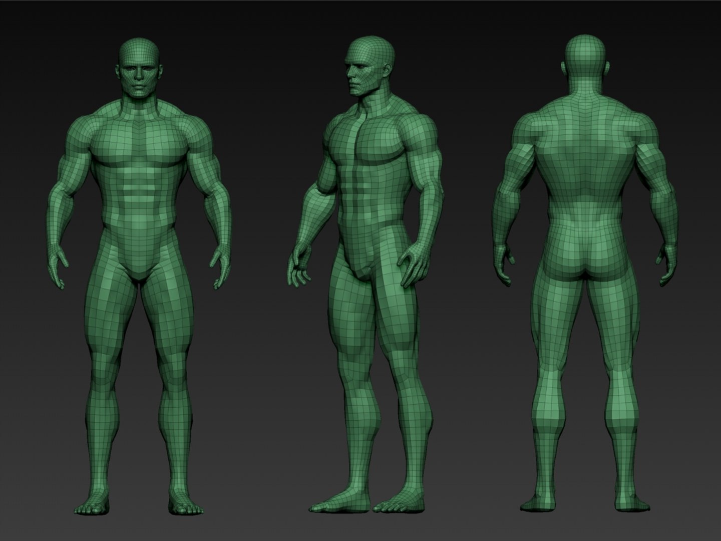 Male Basemesh Rigged Textured 3D Model - TurboSquid 2308510