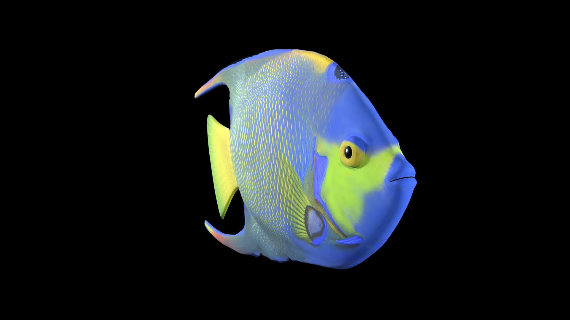 Angel Fish 3D Model - TurboSquid 2064127