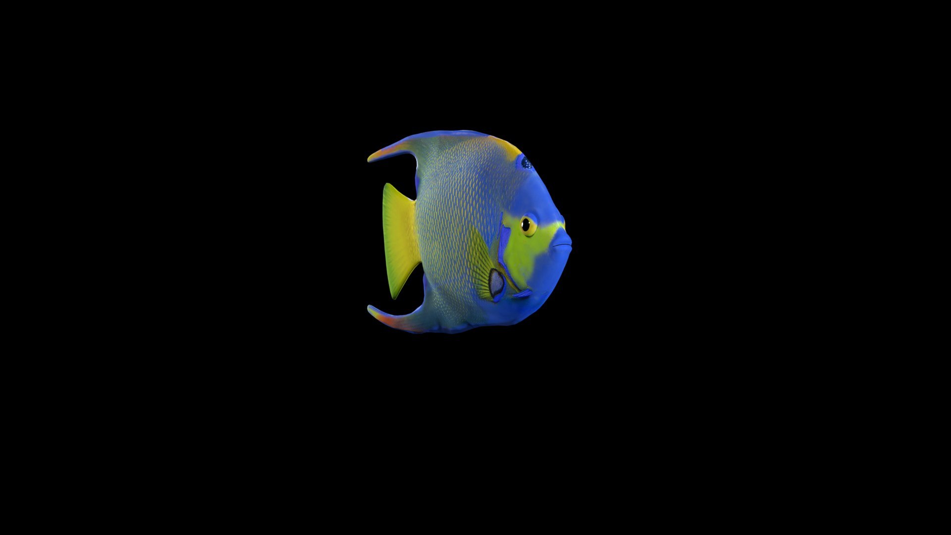 Angel Fish 3D model - TurboSquid 2064127