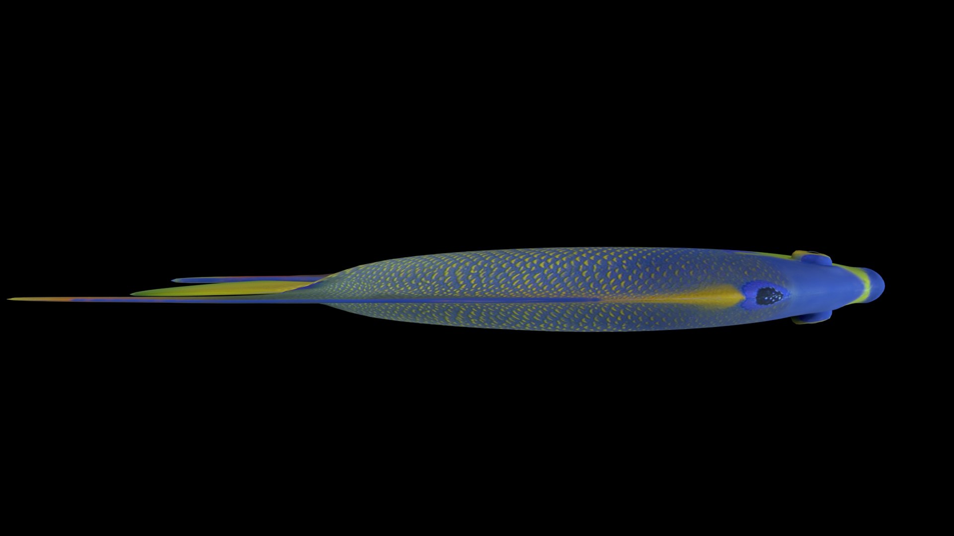 Angel Fish 3D Model - TurboSquid 2064127
