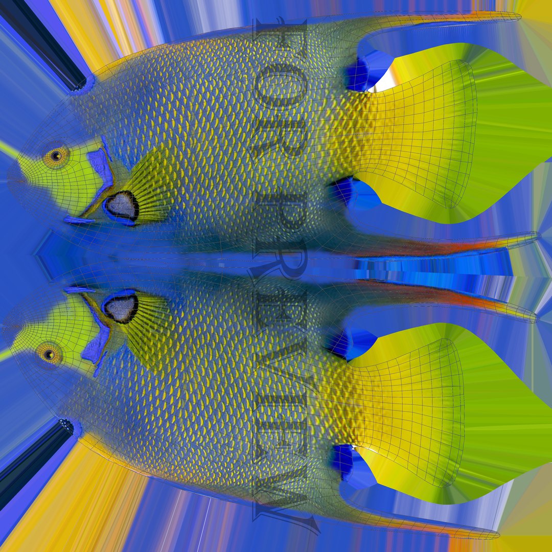 Angel Fish 3D Model - TurboSquid 2064127