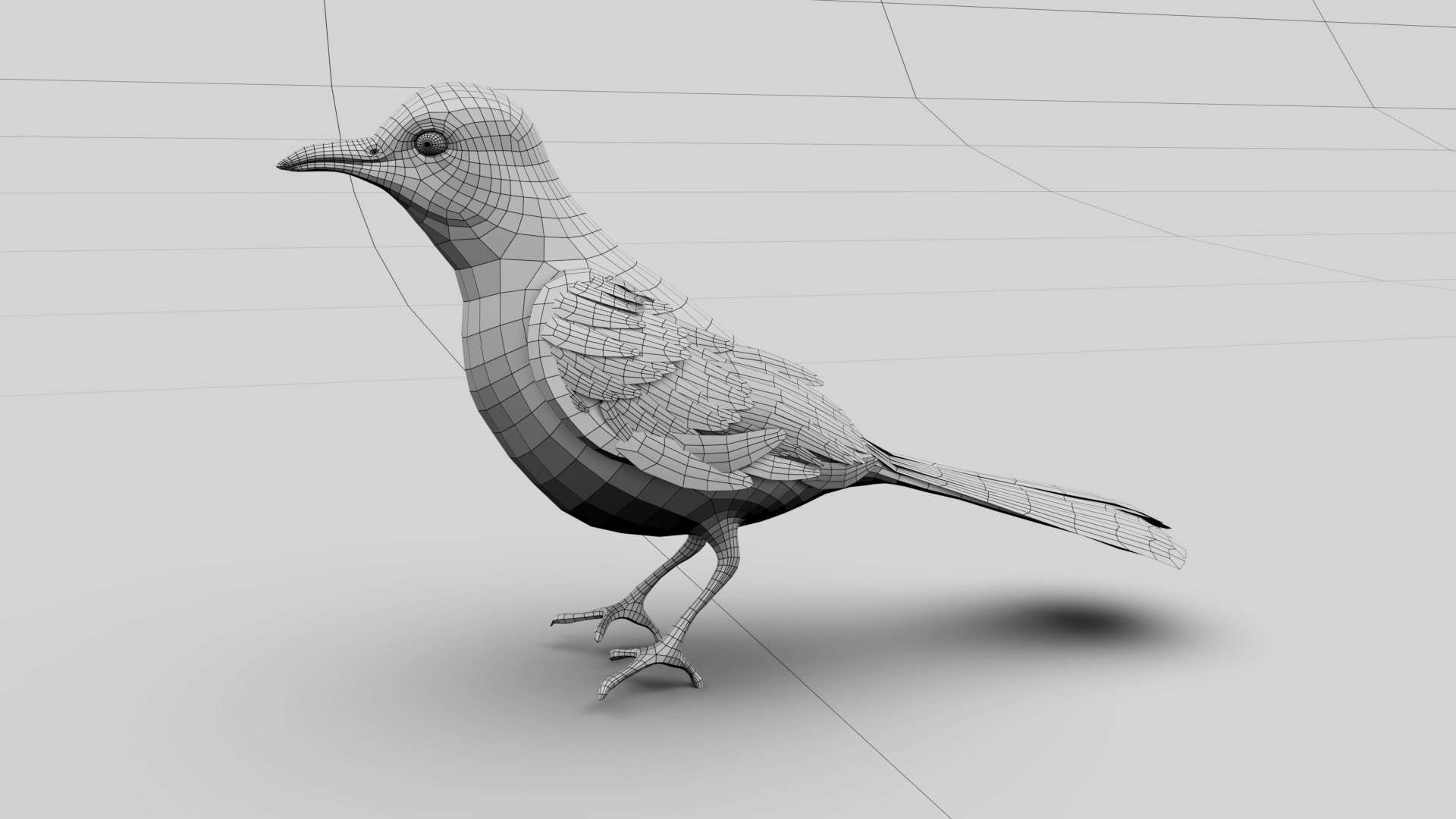 3D Mocking Bird Mockingbird - TurboSquid 1621177