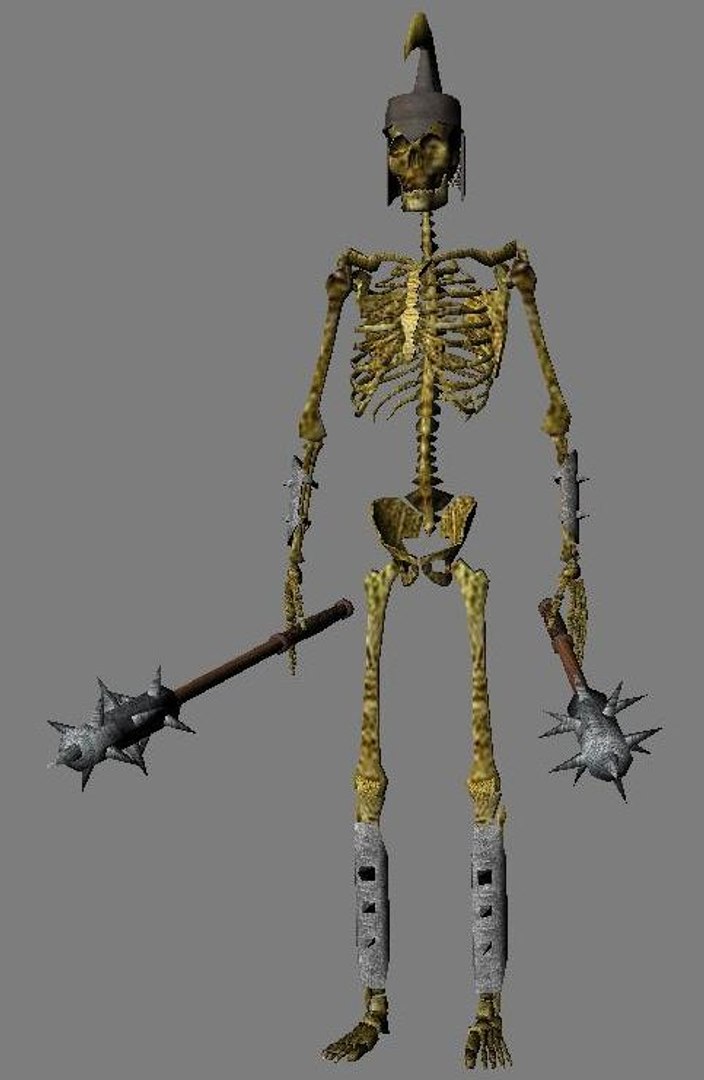 3d Great Bone Warrior Skeleton