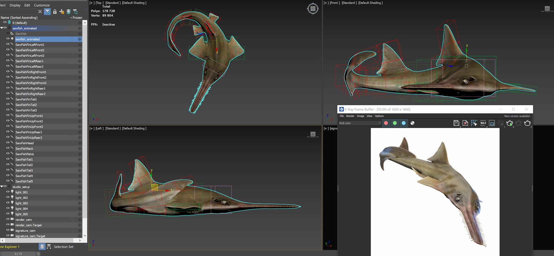 Sawfish Anmated Model - TurboSquid 2149565