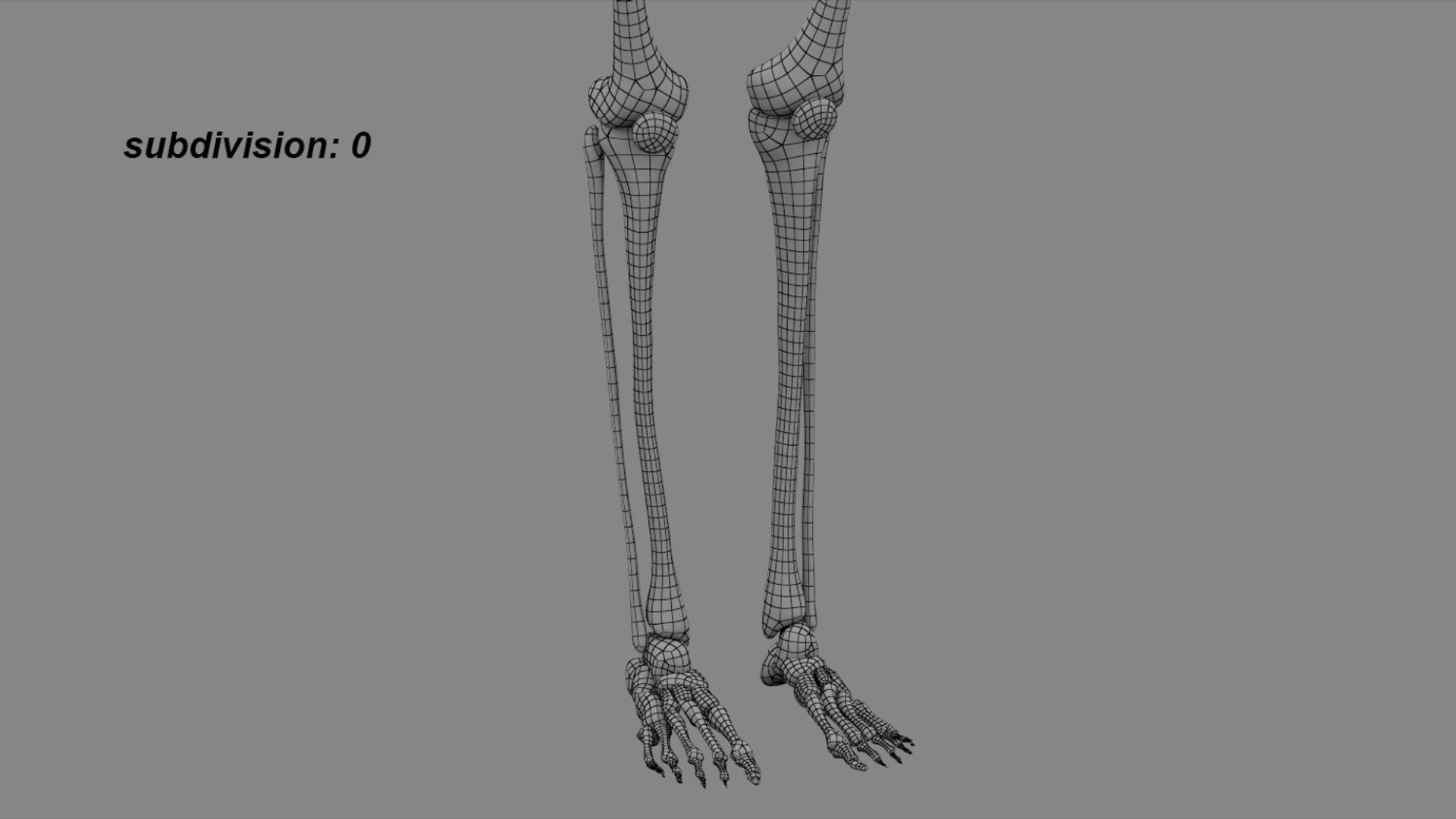 Human Skeleton Rigged 3D 3D Model - TurboSquid 2426398