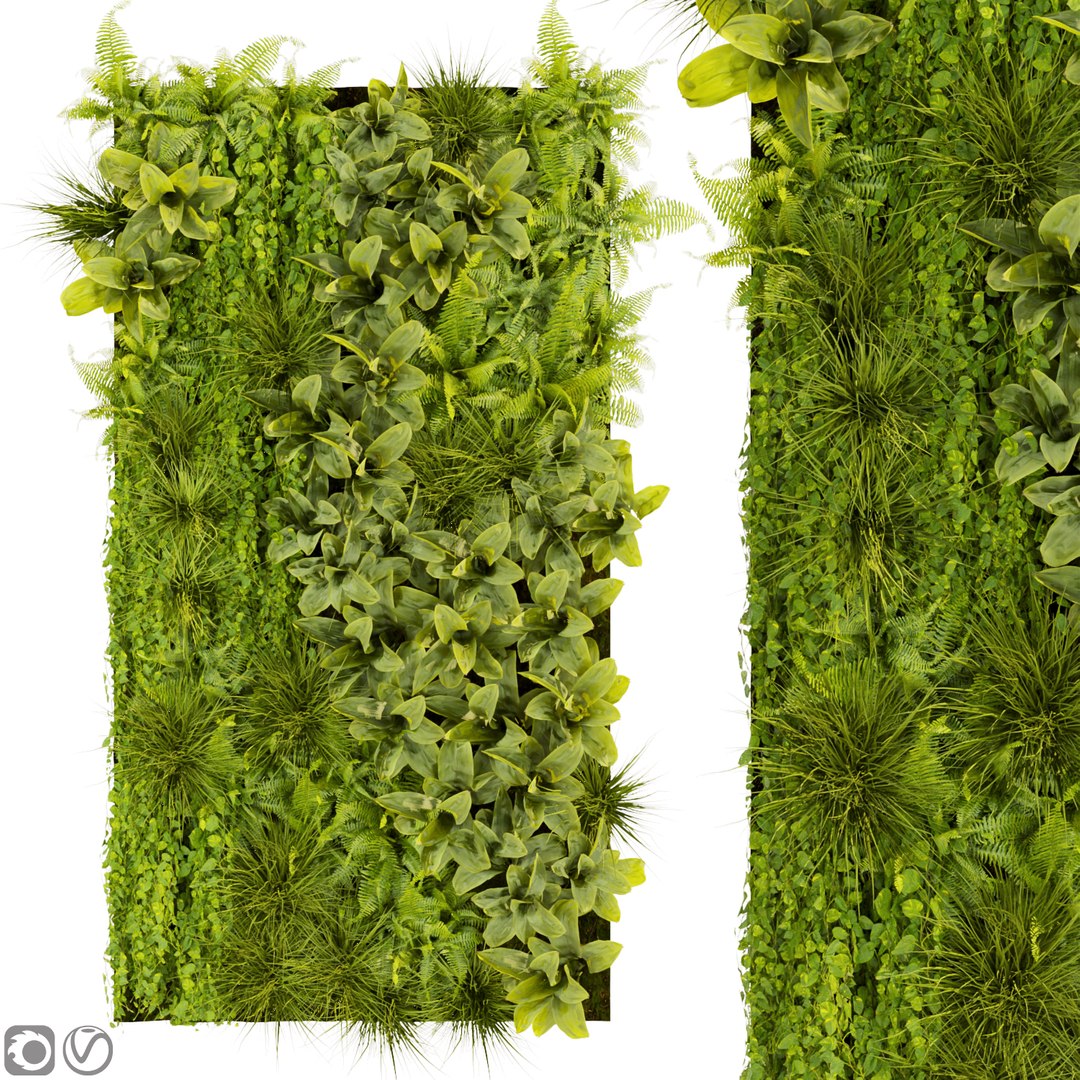 3D Collection Plant Vol 392 - Fitowall - Ertical - Leaf - Palm - Grass - Blender - 3dmax ...