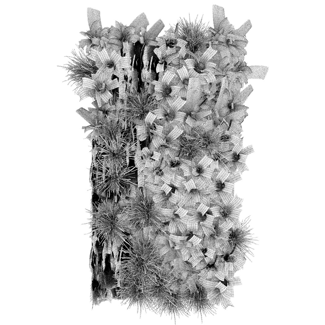 3D Collection Plant Vol 392 - Fitowall - Ertical - Leaf - Palm - Grass - Blender - 3dmax ...