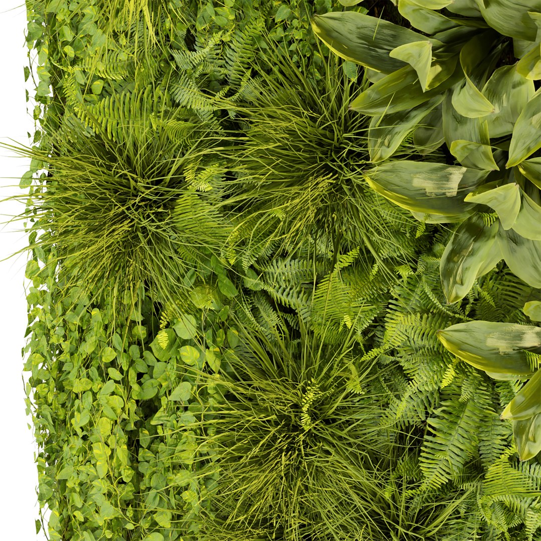 3D Collection Plant Vol 392 - Fitowall - Ertical - Leaf - Palm - Grass - Blender - 3dmax ...