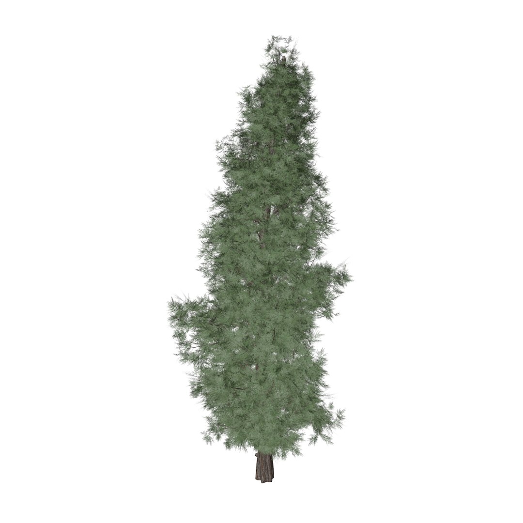 3D Model Eastern Red Cedar Tree Collection - TurboSquid 2378775
