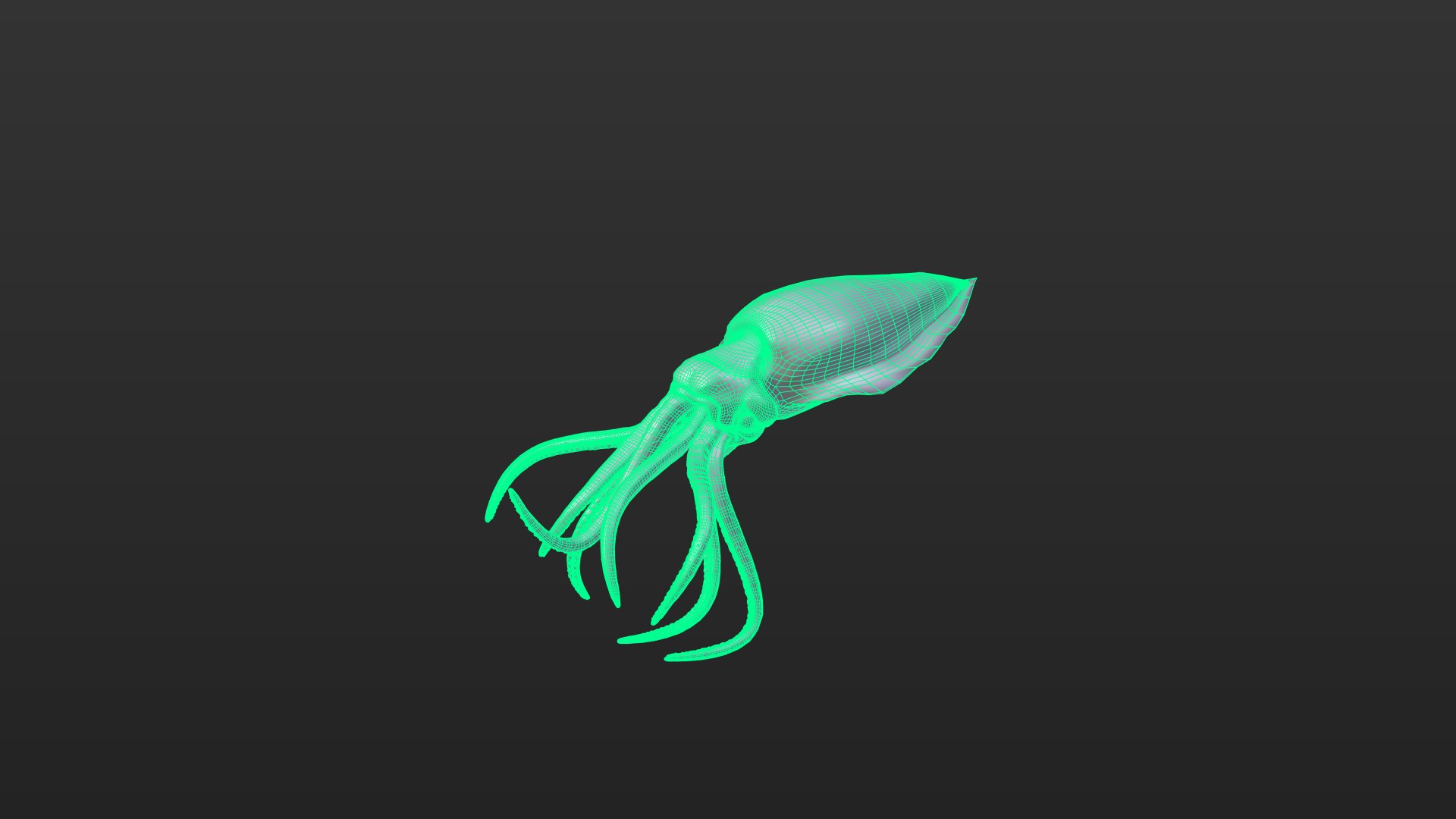 3D cuttlefish model - TurboSquid 1179141