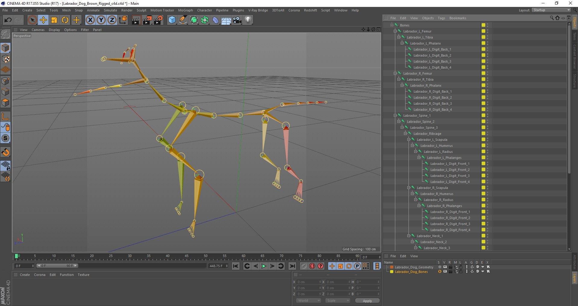 3D Labrador Dog Brown Rigged For Cinema 4D - TurboSquid 1859774