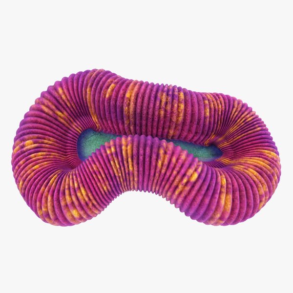 sea sponges 3d model