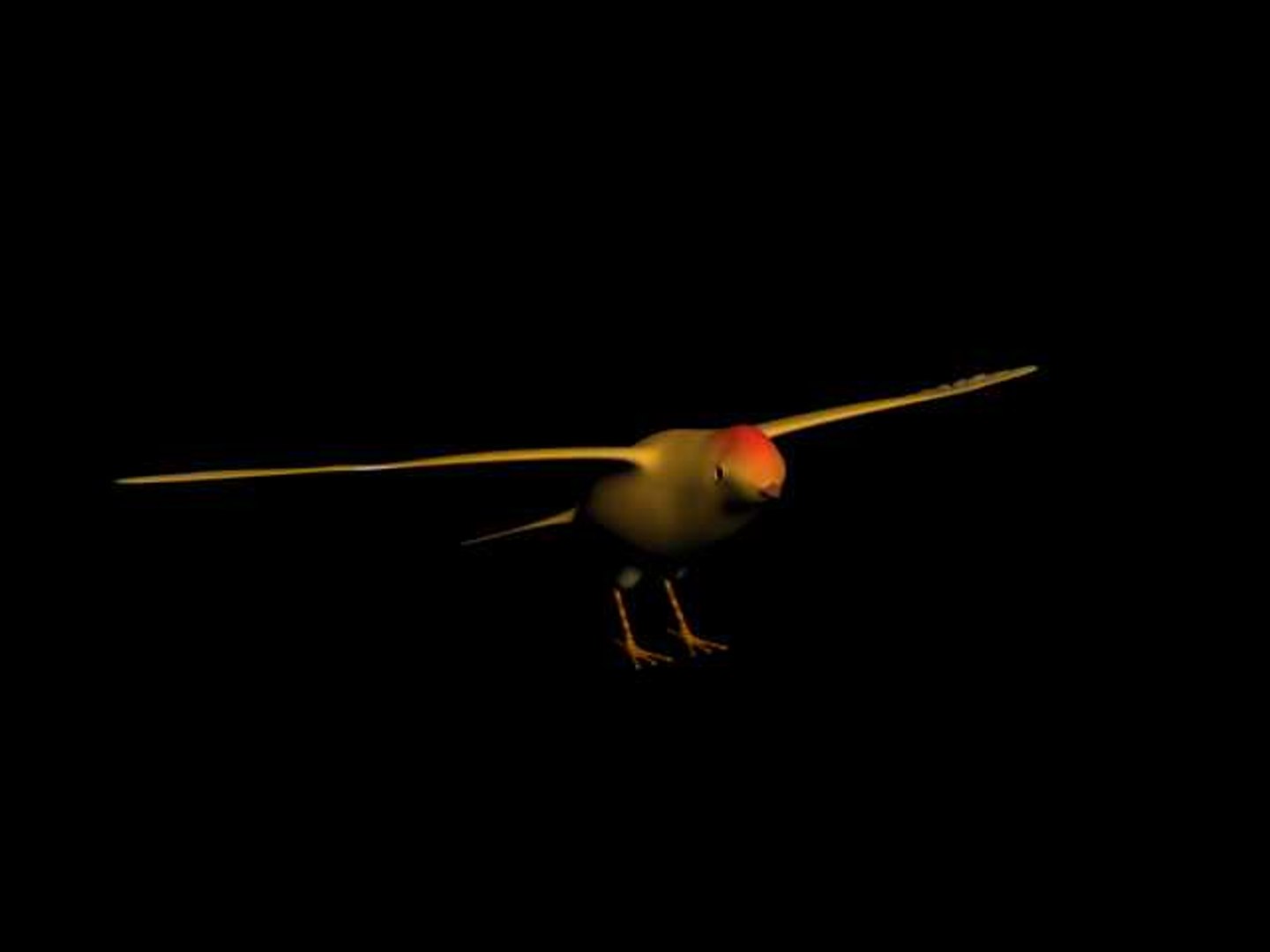 Bird Animation 3d Model