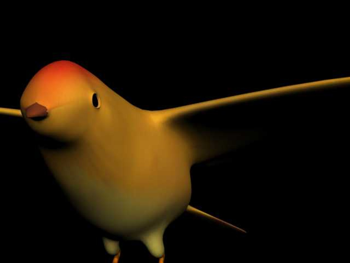 Bird Animation 3d Model