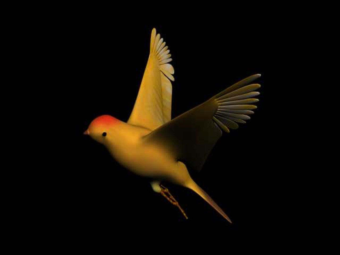 Bird Animation 3d Model