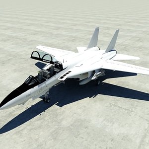 Grumman F-14 Tomcat 3D Models for Download | TurboSquid
