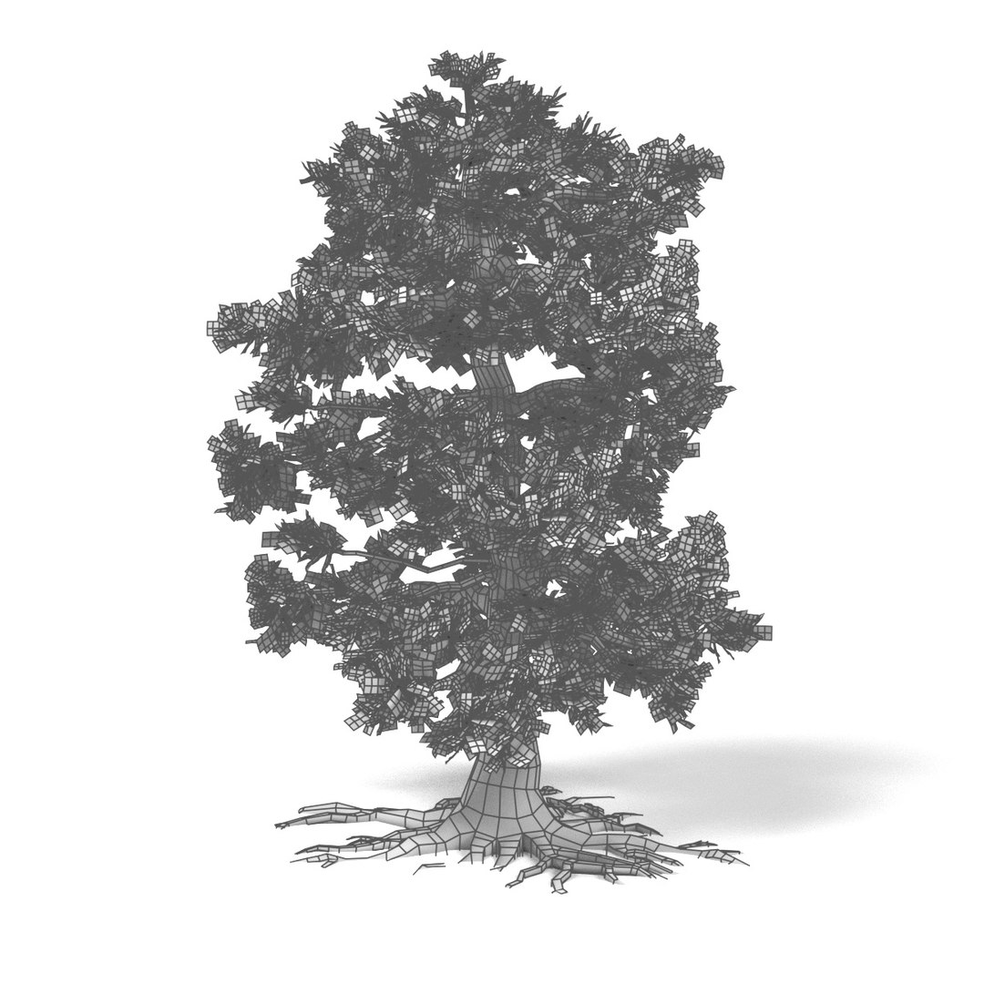 3d Model Big Oak Tree