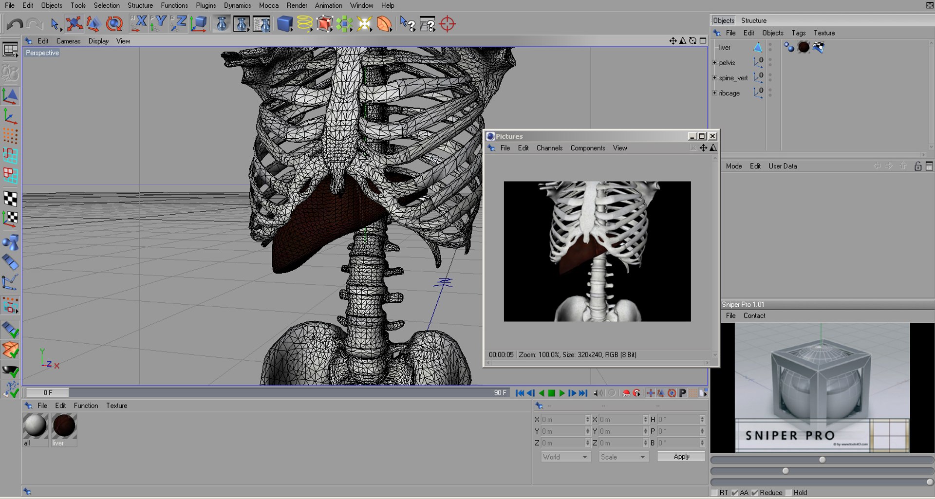 Liver Torso 3d 3ds