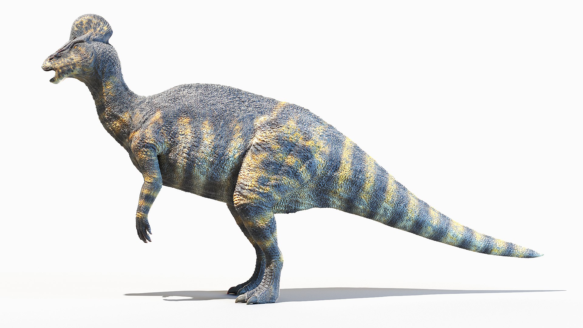 3D Corythosaurus - TurboSquid 1665093
