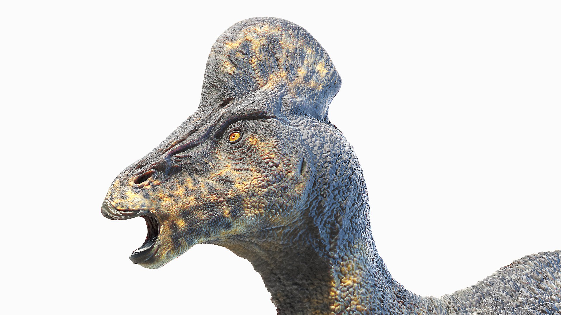 3D Corythosaurus - TurboSquid 1665093