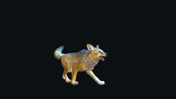 3D Wolf Animation - TurboSquid 2011199