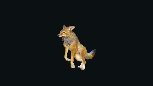 3D Wolf Animation - TurboSquid 2011199