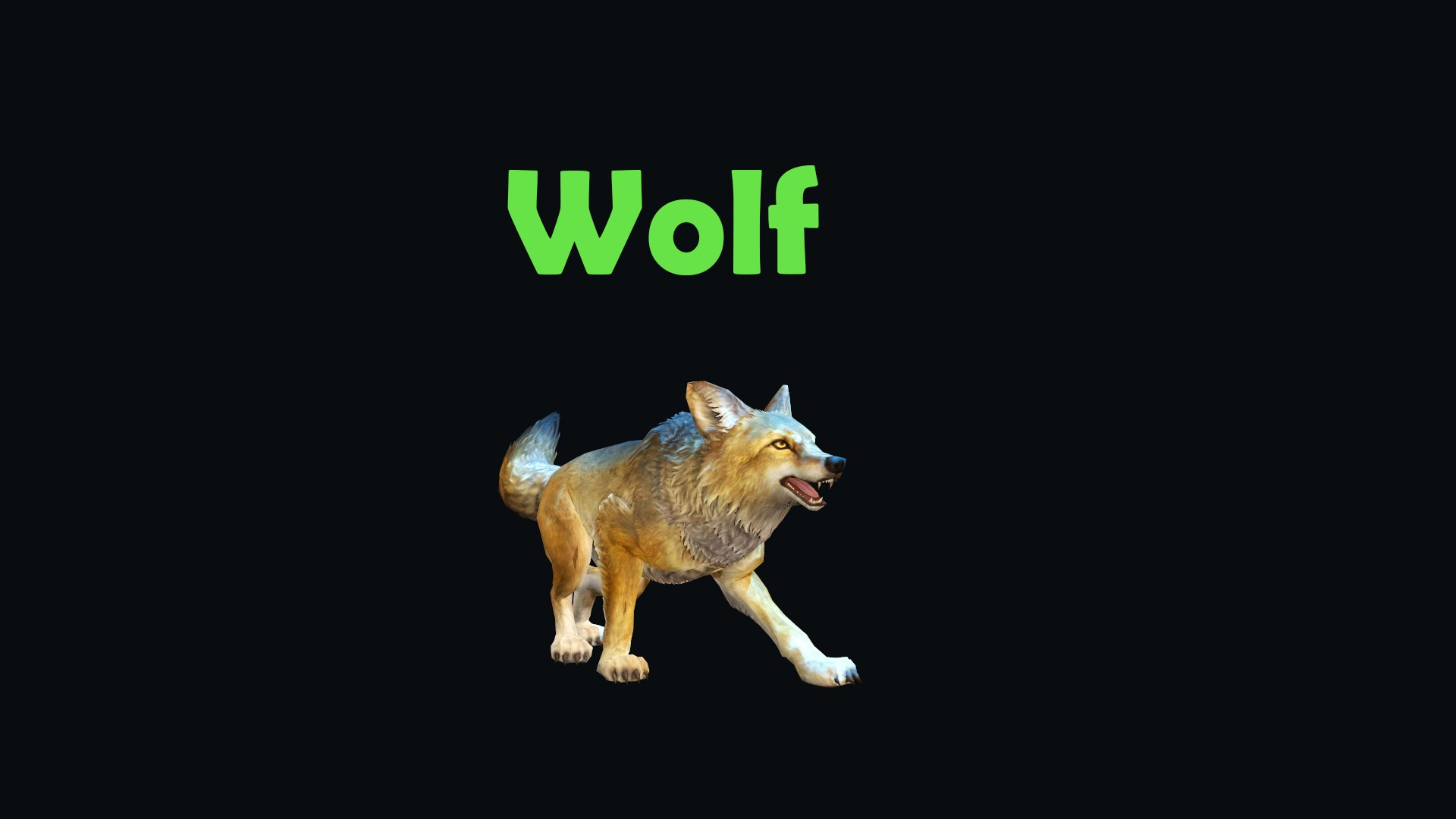 3D Wolf Animation - TurboSquid 2011199