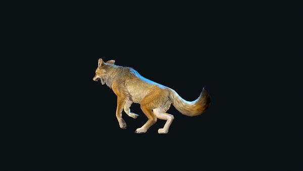 3D Wolf Animation - TurboSquid 2011199