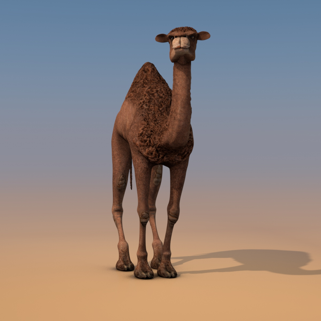 Animating Camel 3D Model - TurboSquid 1268713