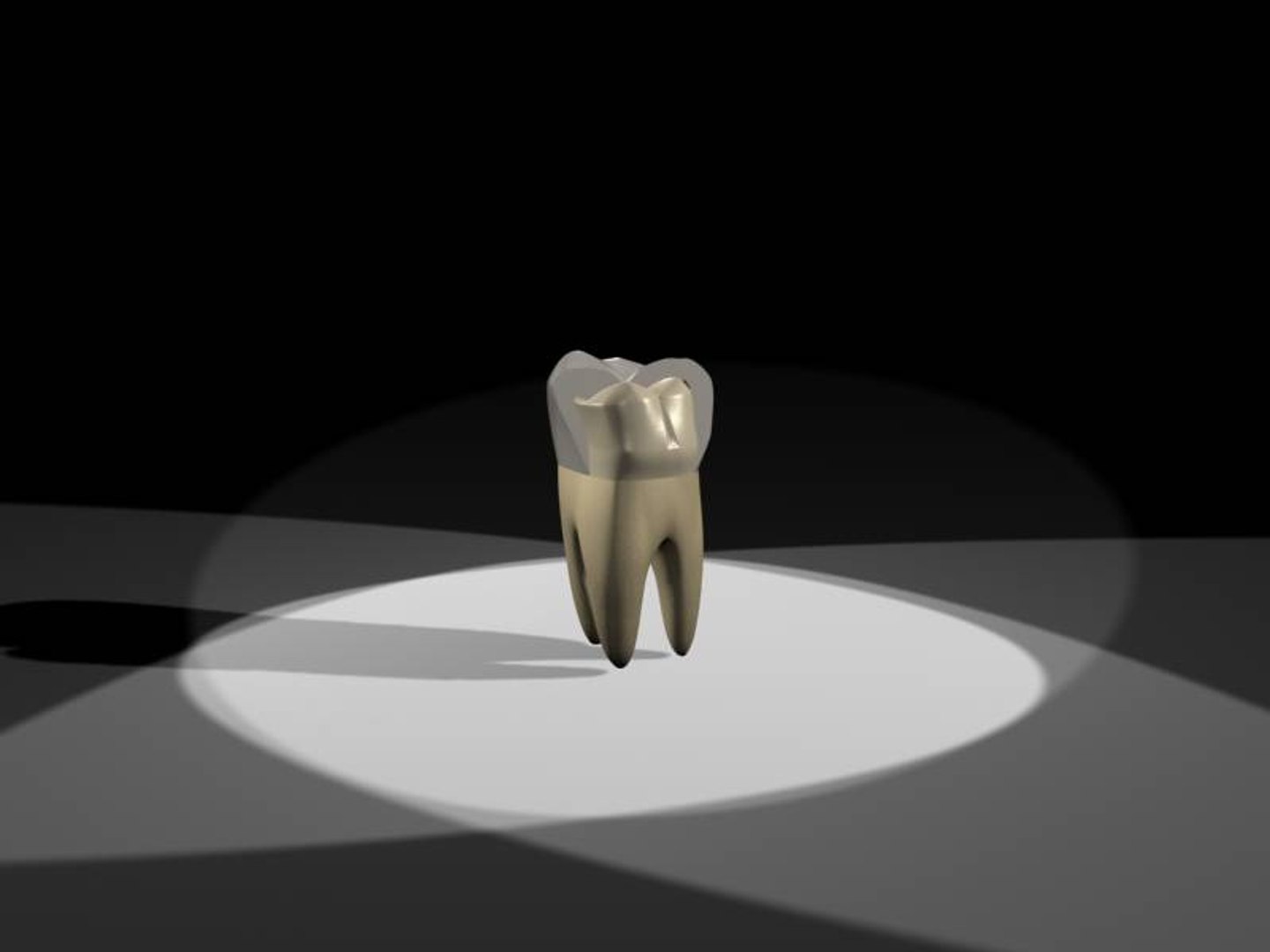 3d Model Maxillary Molar Tooth Teeth