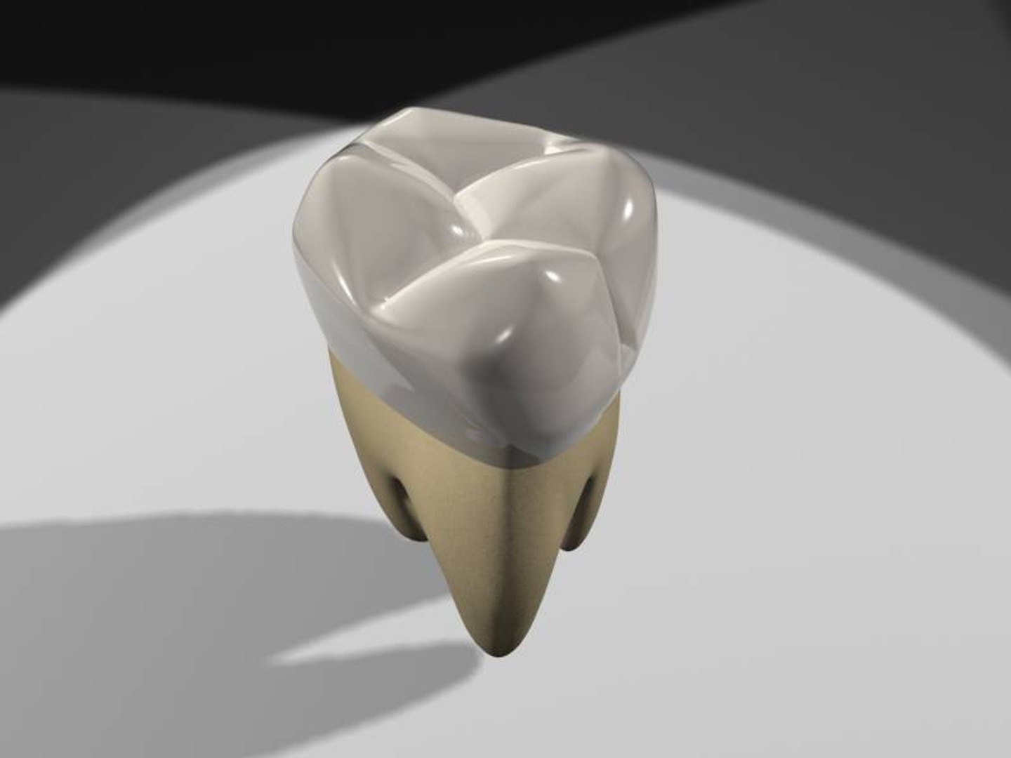 3d Model Maxillary Molar Tooth Teeth