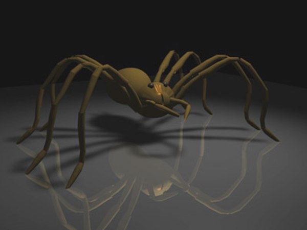 3D Cinema 4D spider 4d c4d
