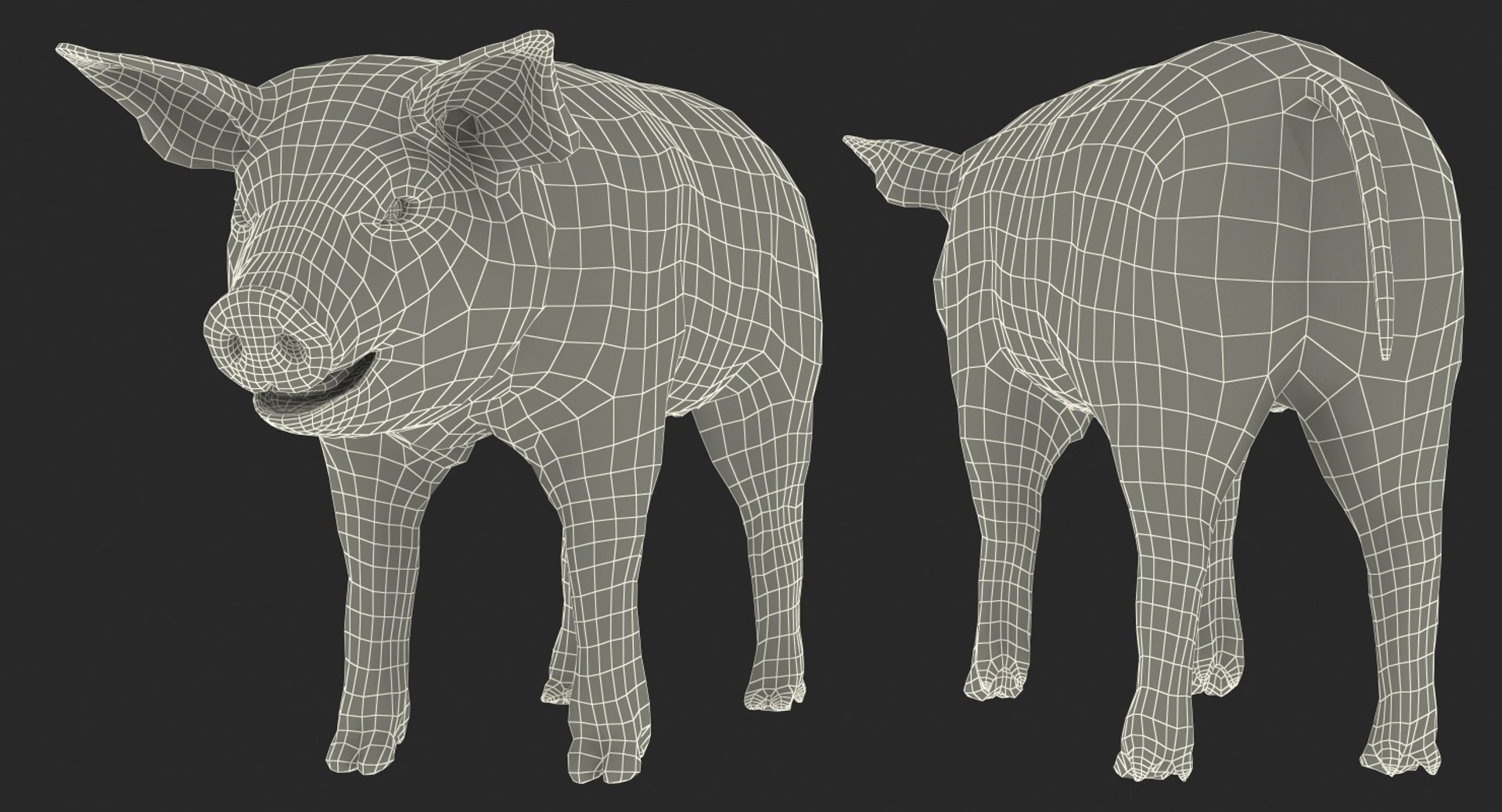 Hampshire Pig Piglet Rigged 3D Model - TurboSquid 1377328
