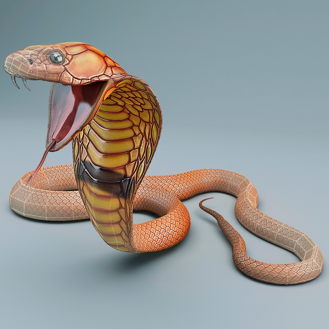 3d Model Snake Cobra Pose 4