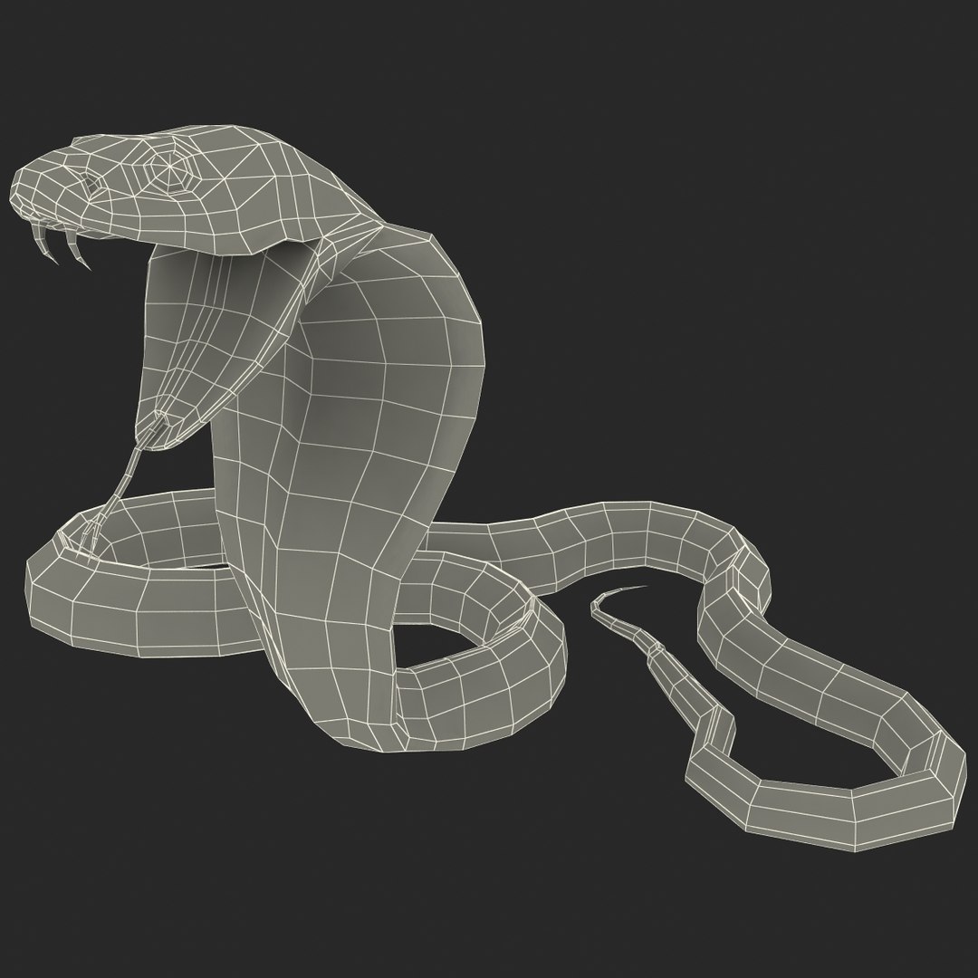 3d Model Snake Cobra Pose 4