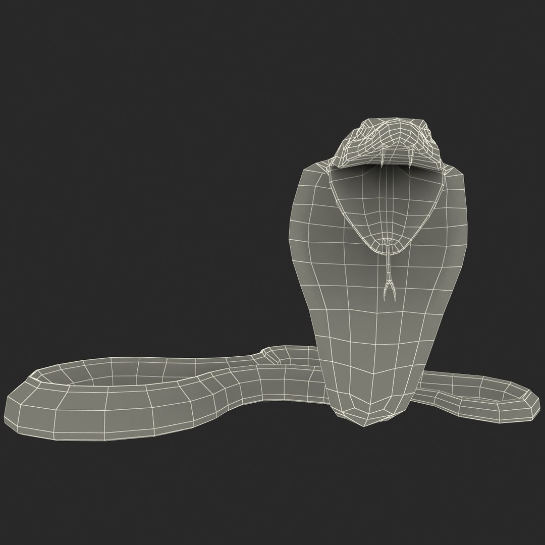 3d Model Snake Cobra Pose 4