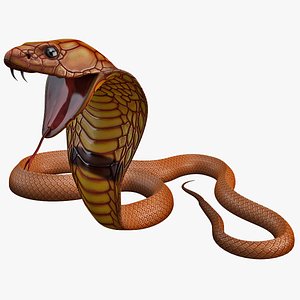 Snake 3D Models for Download | TurboSquid