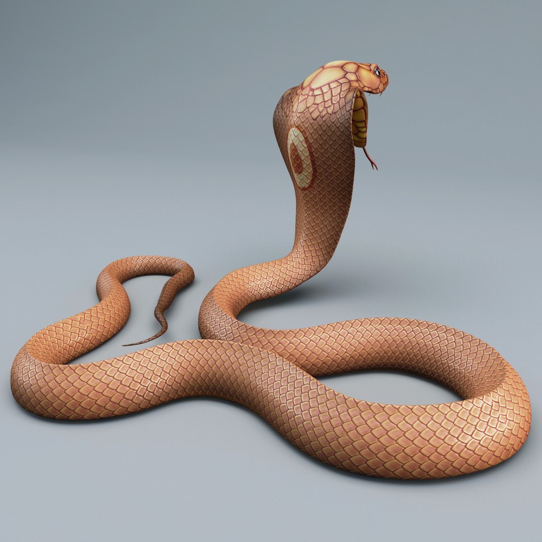 3d Model Snake Cobra Pose 4