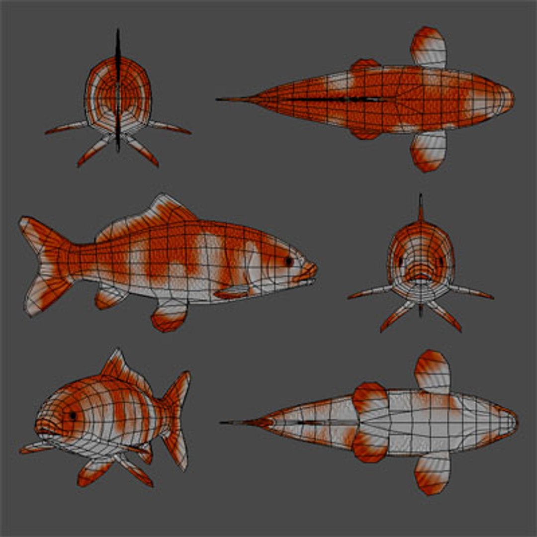 Koi Fish 3d Max