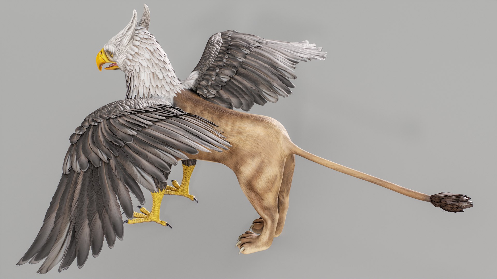 3D Gryphon Classic PBR - TurboSquid 2168965