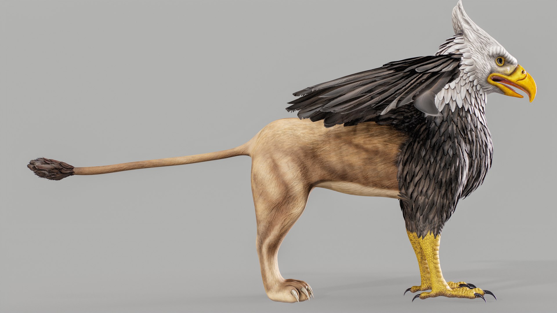3D Gryphon Classic PBR - TurboSquid 2168965