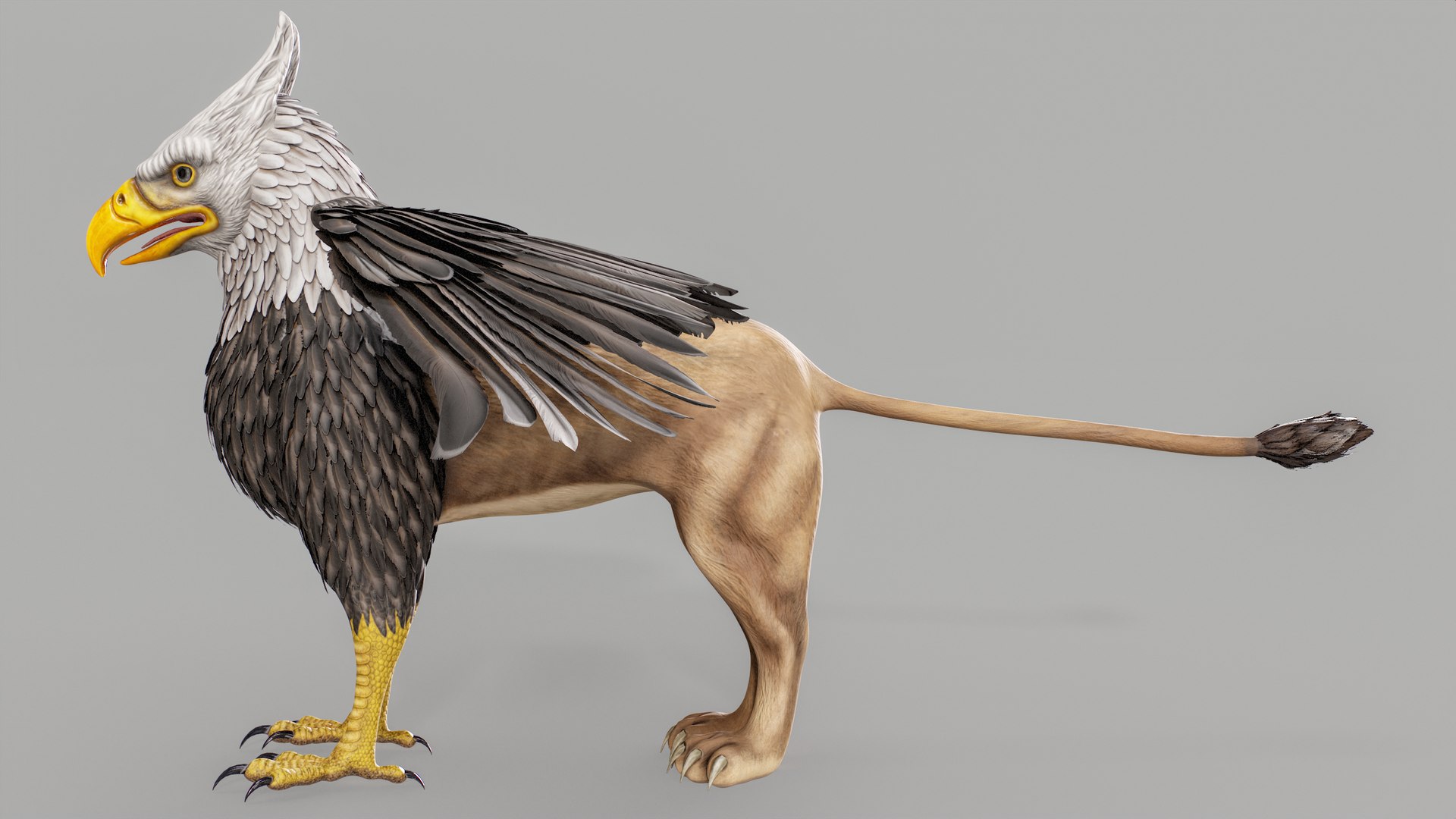 3D Gryphon Classic PBR - TurboSquid 2168965