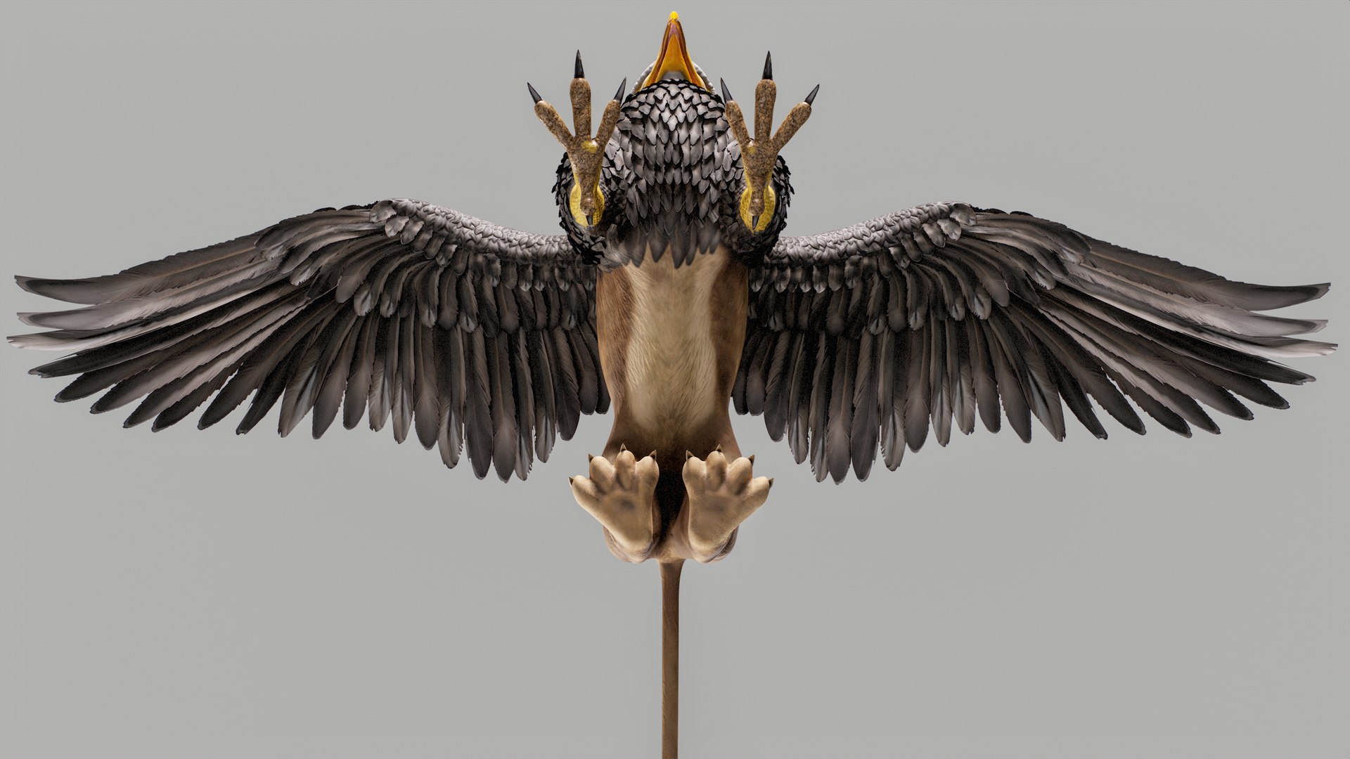 3D Gryphon Classic PBR - TurboSquid 2168965