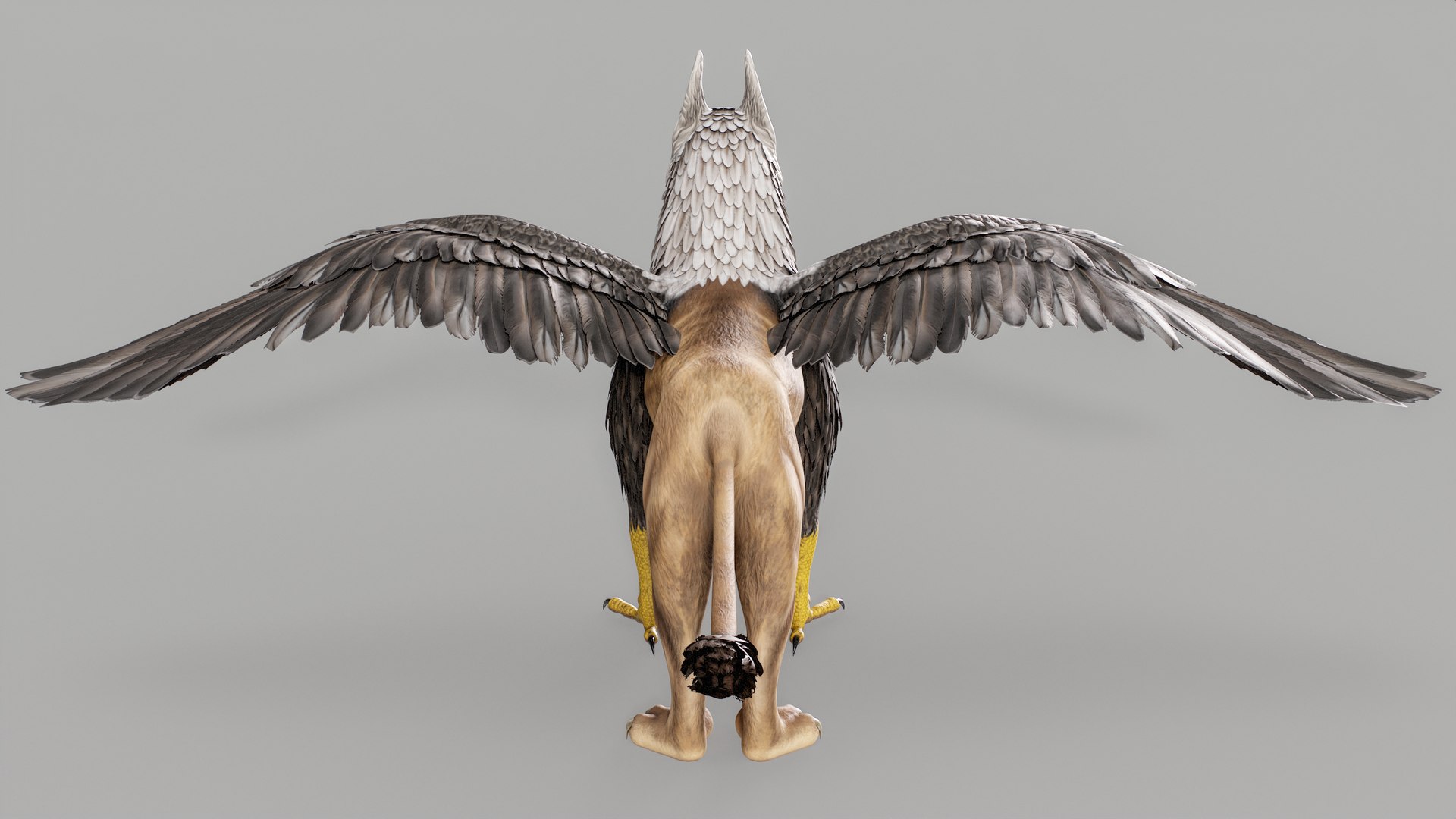 3D Gryphon Classic PBR - TurboSquid 2168965