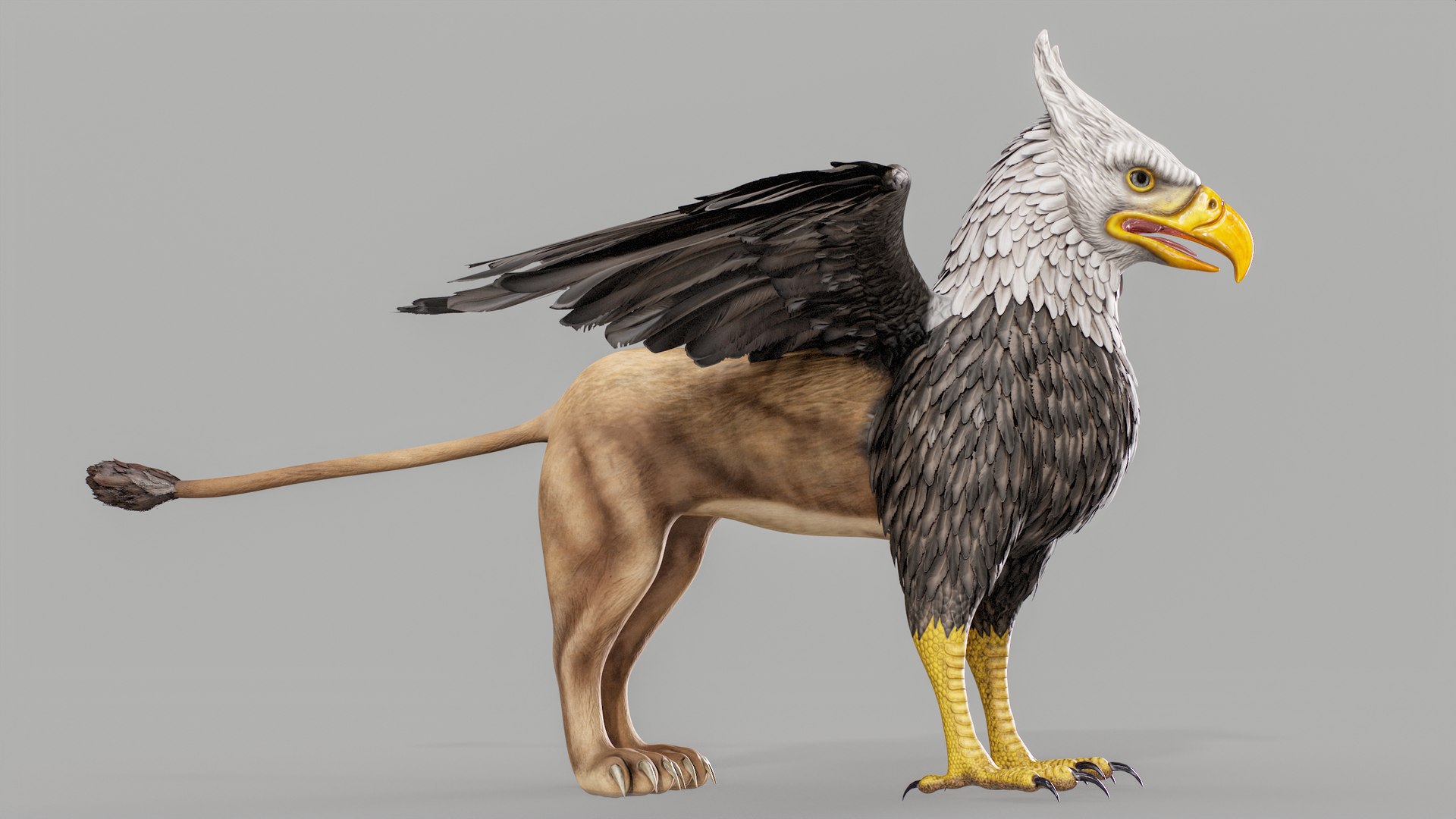 3D Gryphon Classic PBR - TurboSquid 2168965