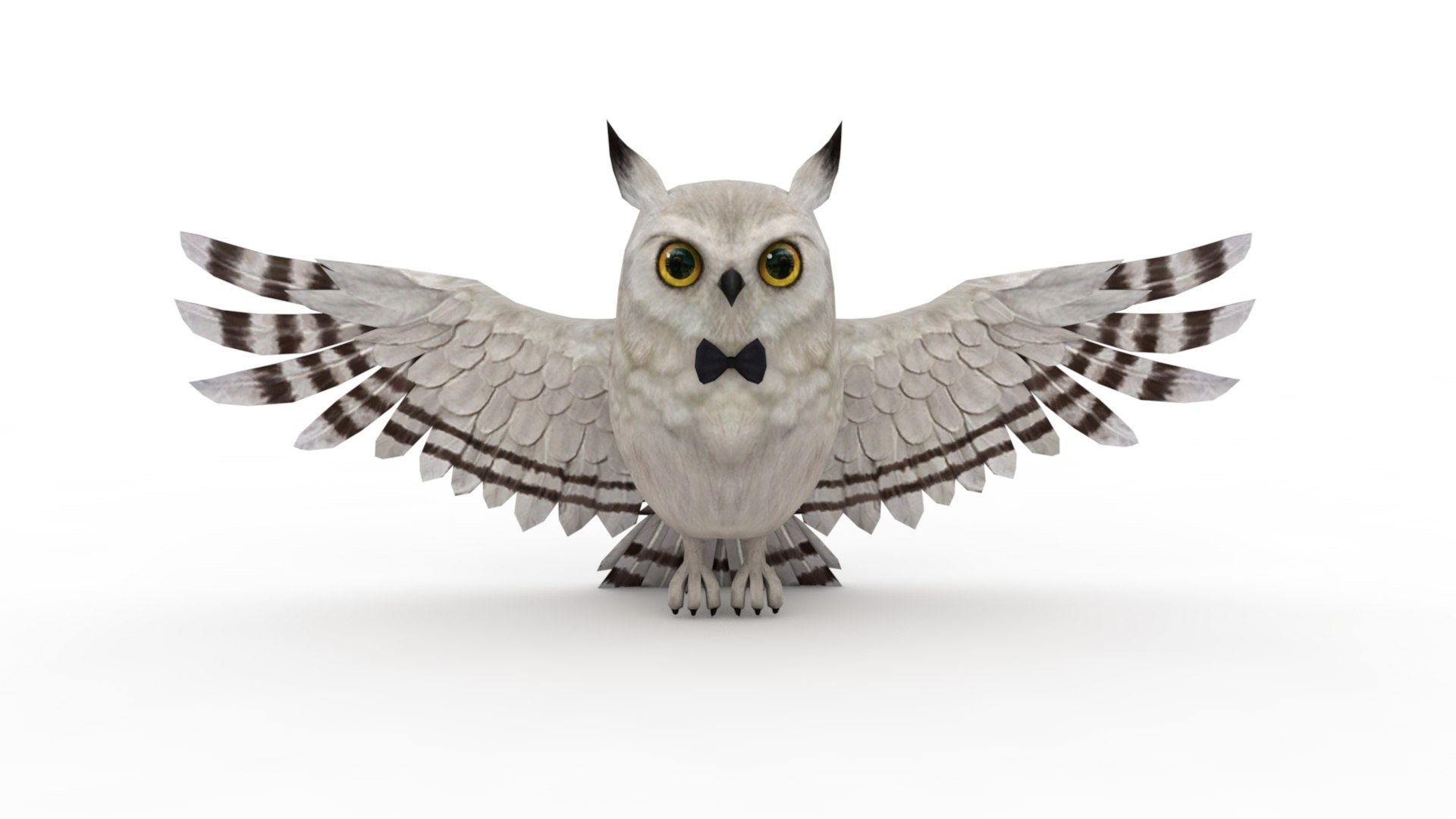 White Barn Owl 3D Model - TurboSquid 1870112